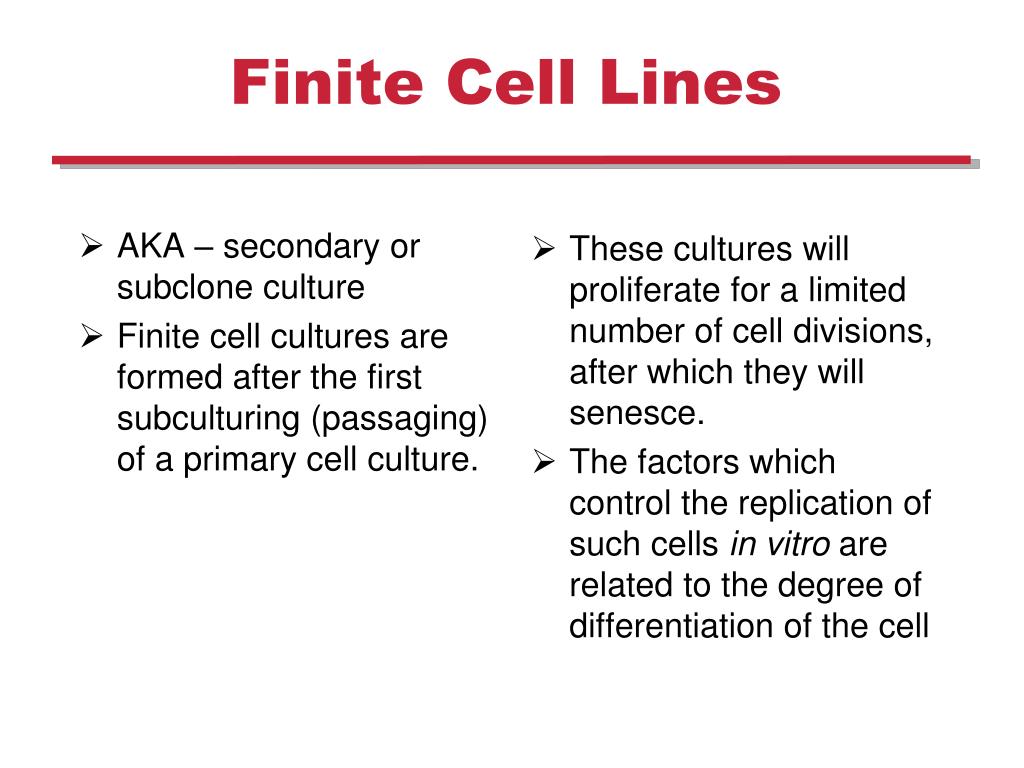 PPT - Plant and Mammalian Tissue Culture PowerPoint Presentation, free ...