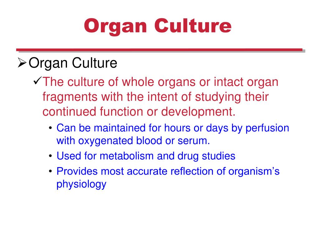 PPT - Plant and Mammalian Tissue Culture PowerPoint Presentation, free ...