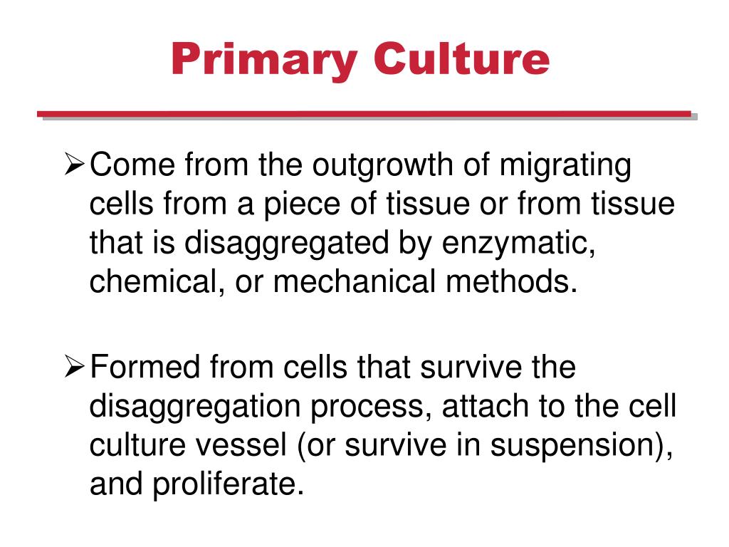 PPT - Plant and Mammalian Tissue Culture PowerPoint Presentation, free ...