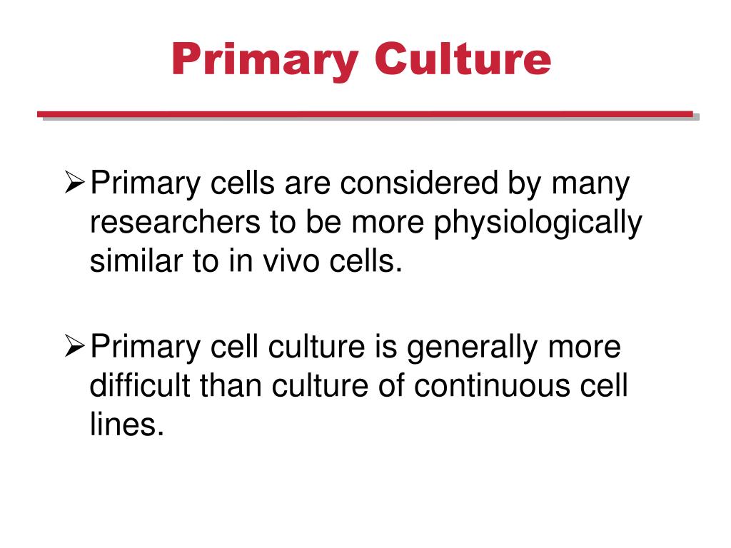 PPT - Plant and Mammalian Tissue Culture PowerPoint Presentation, free ...