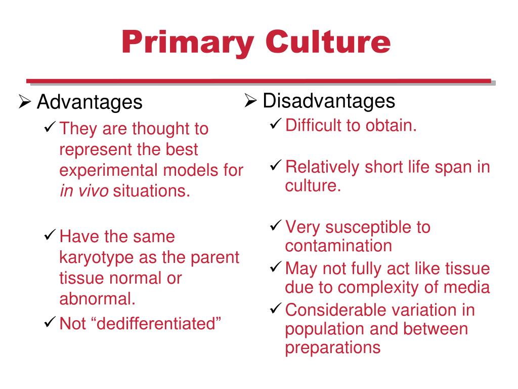 PPT - Plant and Mammalian Tissue Culture PowerPoint Presentation, free ...