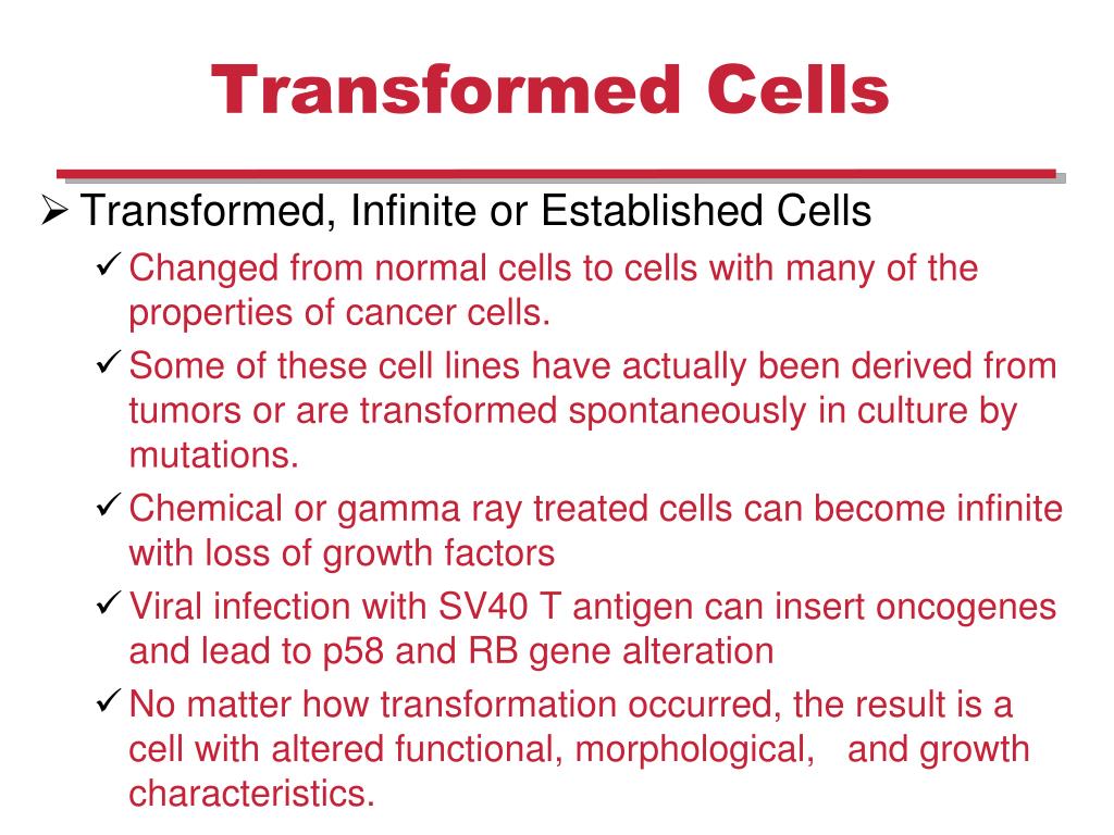 PPT - Plant and Mammalian Tissue Culture PowerPoint Presentation, free ...