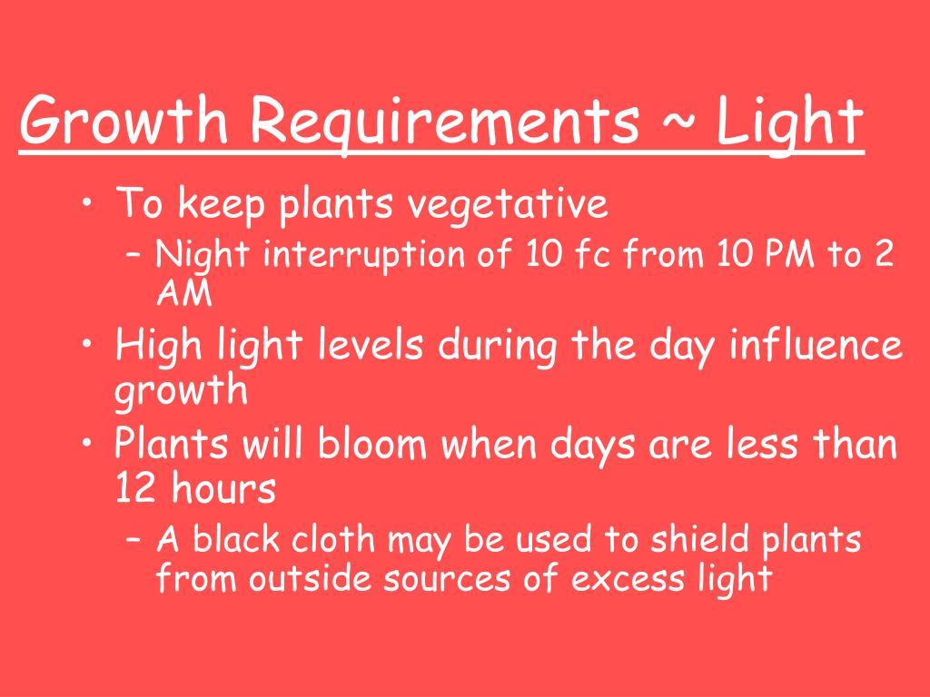 PPT - Topic #2172 Foliage Plants Focus on Poinsettias PowerPoint ...