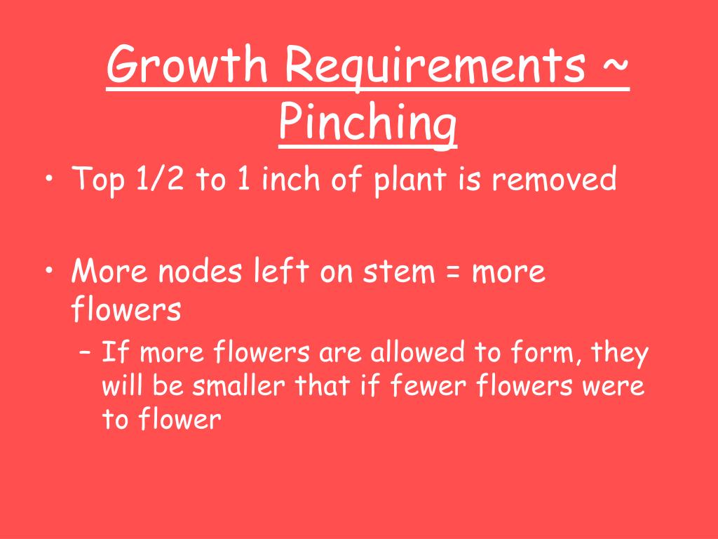 PPT - Topic #2172 Foliage Plants Focus on Poinsettias PowerPoint ...