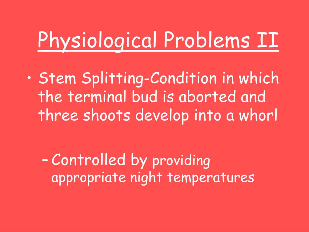 PPT - Topic #2172 Foliage Plants Focus on Poinsettias PowerPoint ...