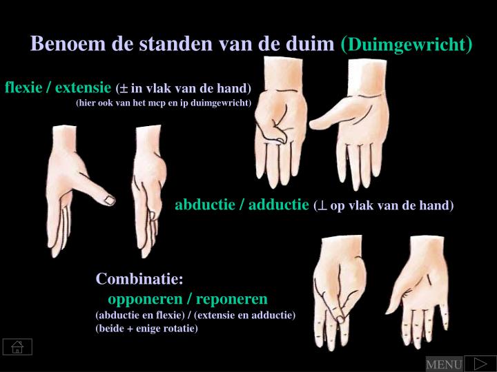 PPT - DE HAND PowerPoint Presentation - ID:3556697