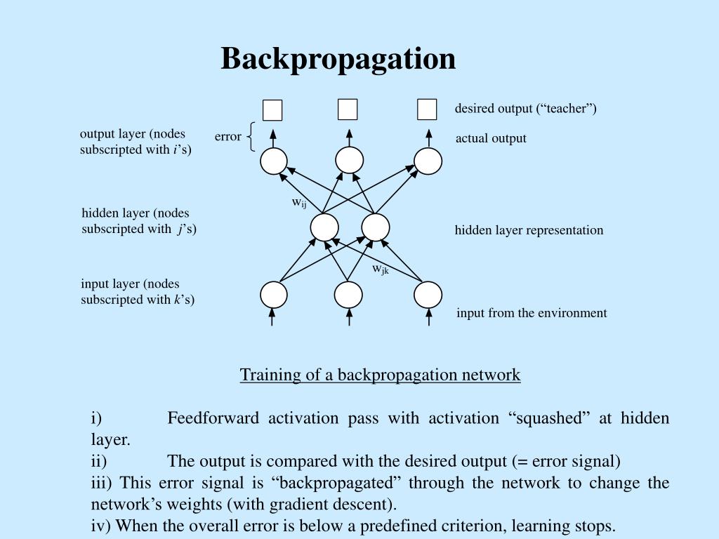 Ppt Connectionist Models The Briefest Course Powerpoint Presentation