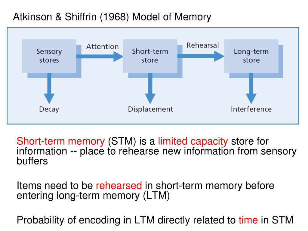 PPT - Memory III Working Memory & Brain PowerPoint Presentation, free ... PPT - Memory III Working Memory & Brain PowerPoint Presentation, free ...