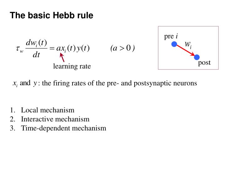 PPT - Plasticity and Learning PowerPoint Presentation - ID:3556829