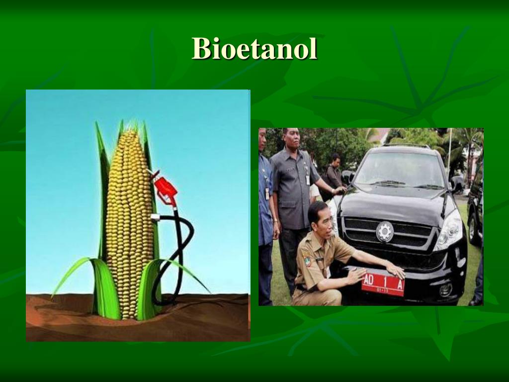 PPT - Dasar-dasar Fisiologi Tumbuhan PowerPoint Presentation, free ...