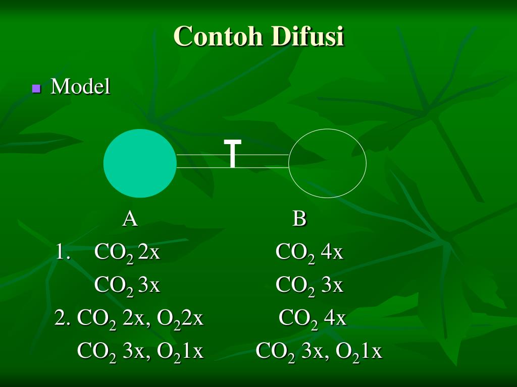 PPT - Dasar-dasar Fisiologi Tumbuhan PowerPoint Presentation, free ...