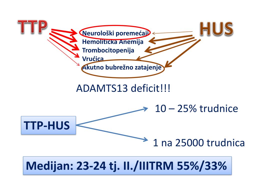 PPT - Kada ginekolog treba pomoć hematologa!? PowerPoint Presentation ...