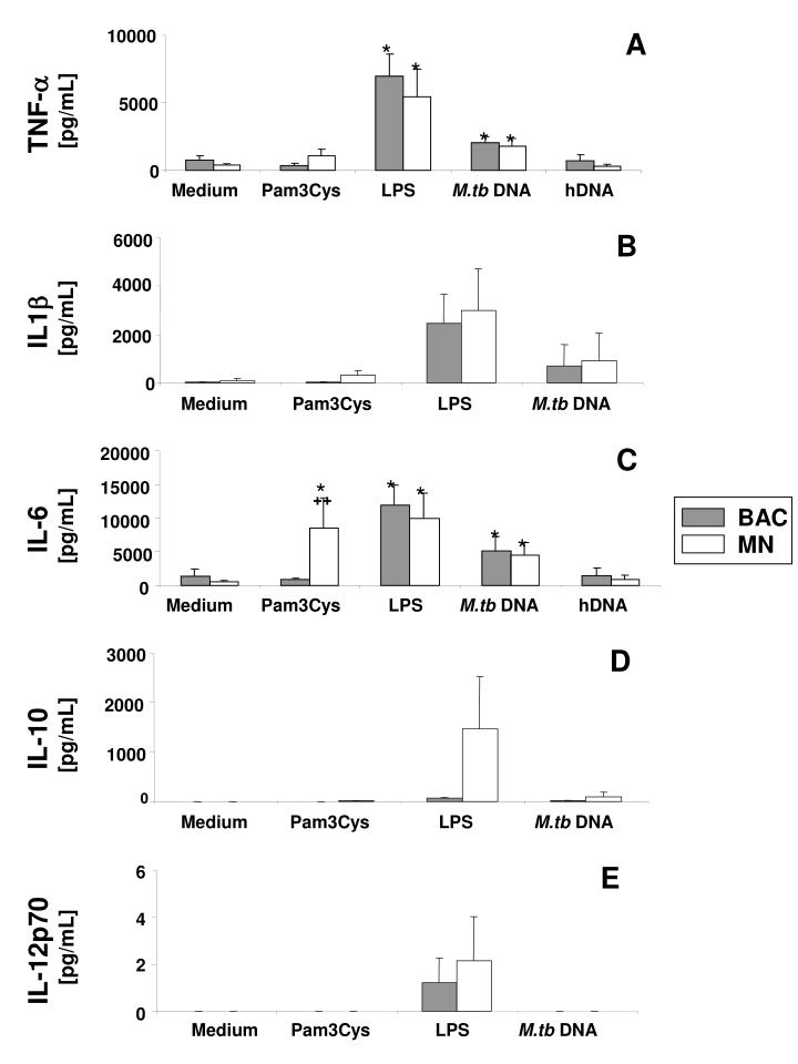 PPT - BAC PowerPoint Presentation, free download - ID:3557891