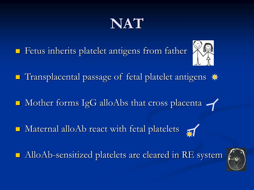 PPT - Neonatal Alloimmune Thrombocytopenia: Diagnosis, Management ...