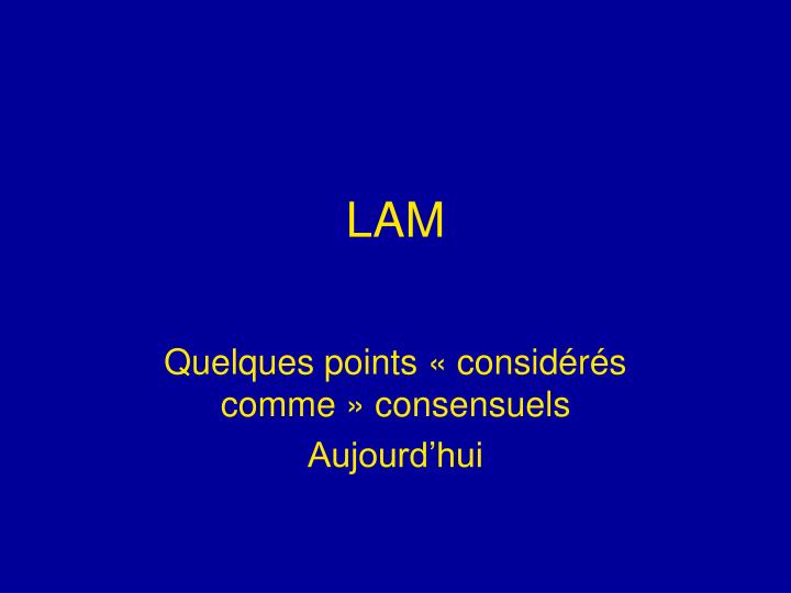 PPT - LAM PowerPoint Presentation, free download - ID:3558659