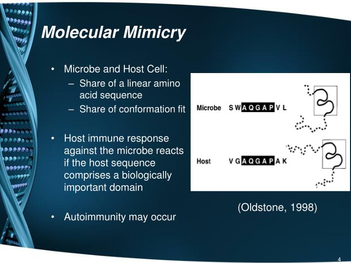 PPT - Molecular Mimicry PowerPoint Presentation - ID:3558910