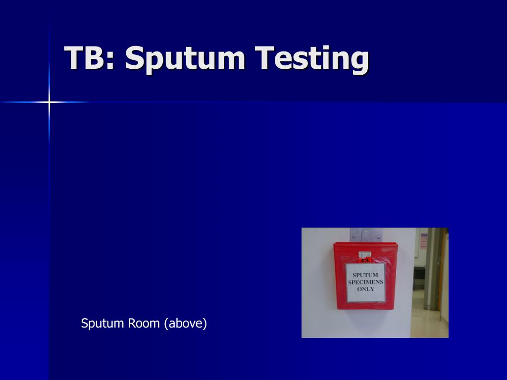 PPT - Hillsborough County Health Department PowerPoint Presentation ...