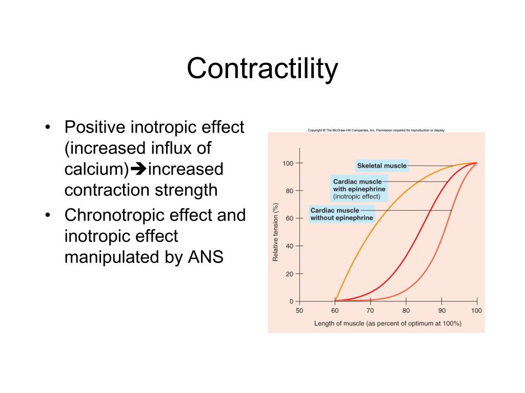 PPT - Regulation of cardiac activity Cardiac output Blood flow Blood ...