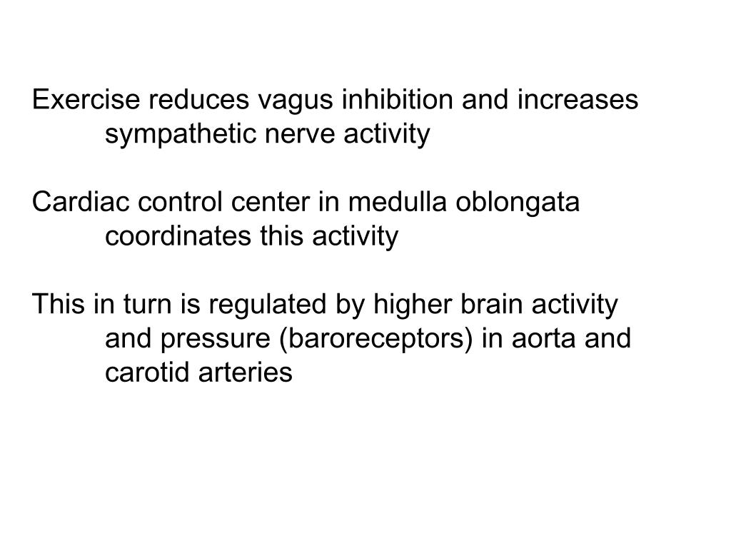 PPT - Regulation of cardiac activity Cardiac output Blood flow Blood ...