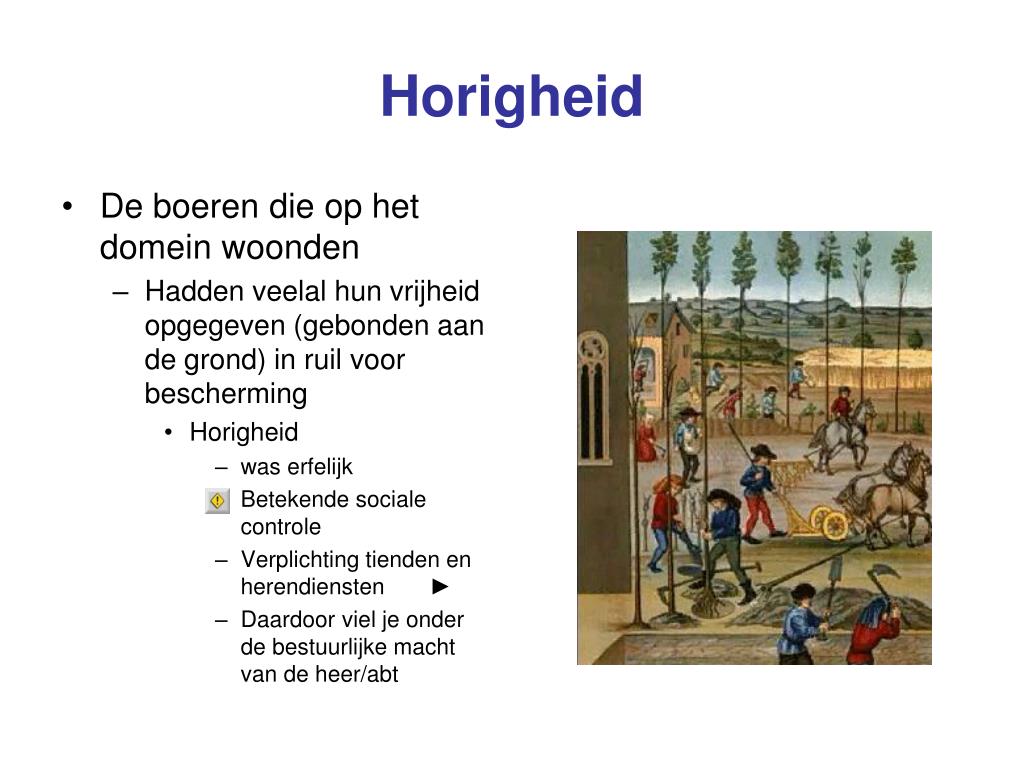 PPT - Ontstaan hofstelsel - domeinen PowerPoint Presentation, free ...