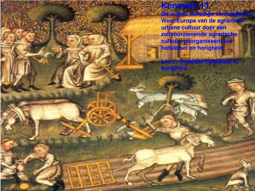 PPT - Ontstaan hofstelsel - domeinen PowerPoint Presentation, free ...