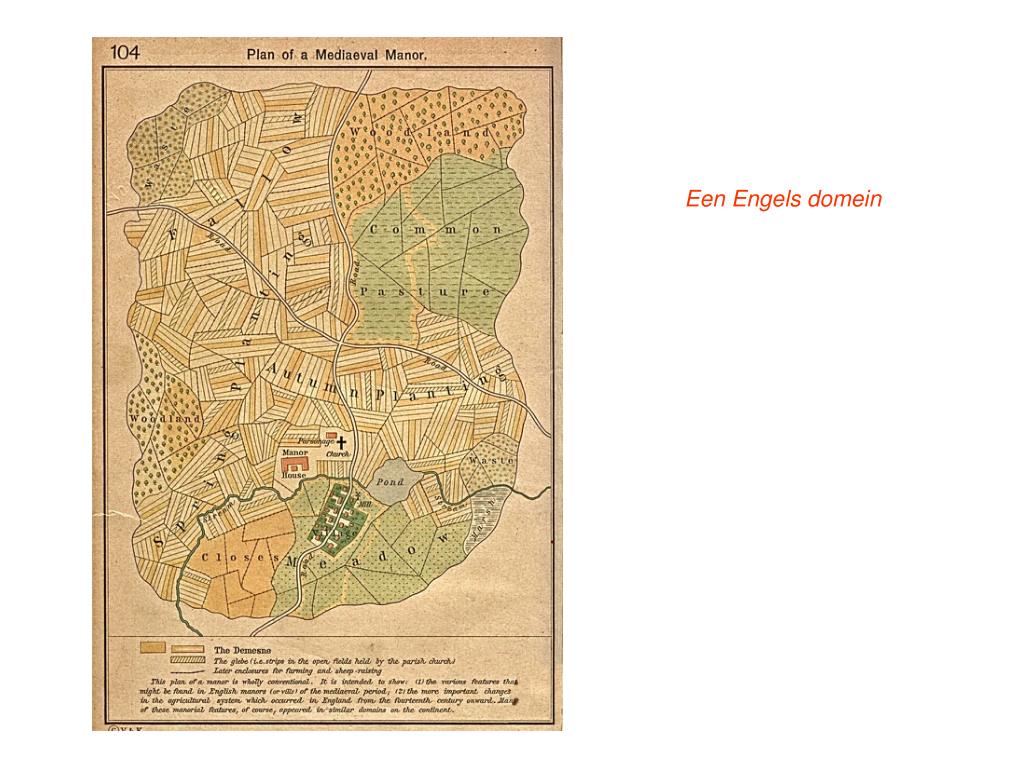 PPT - Ontstaan hofstelsel - domeinen PowerPoint Presentation, free ...