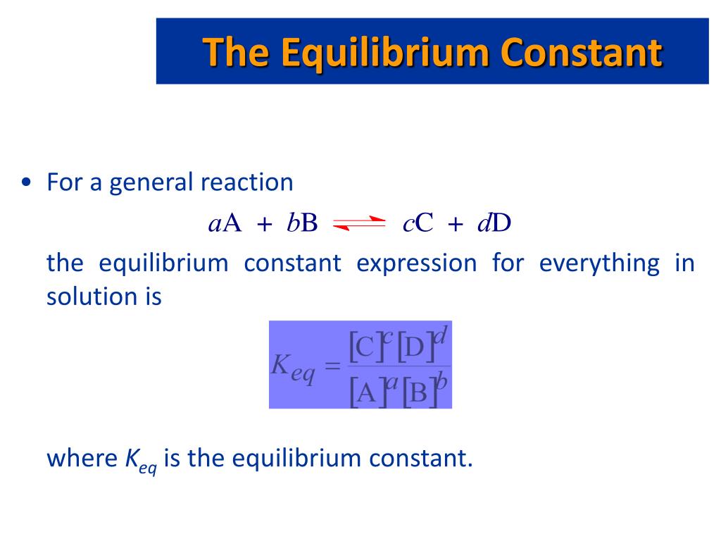 Equilibrium Expression Equilibrium Expression