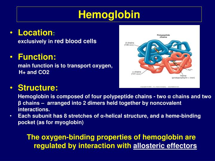 PPT - Oxygen Binding Proteins PowerPoint Presentation - ID:3560631