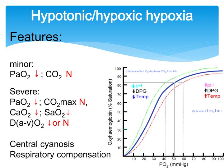 PPT - Hypoxia PowerPoint Presentation - ID:3560655