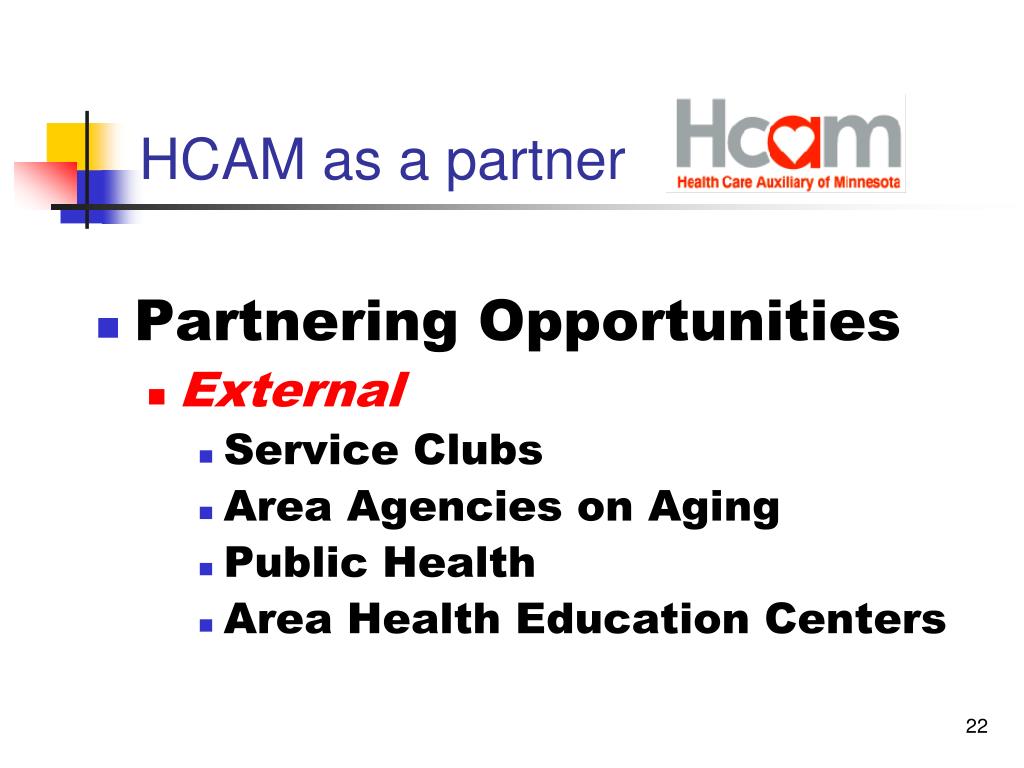 PPT - The Health Care Auxiliary of Minnesota Serving Auxilians and ...