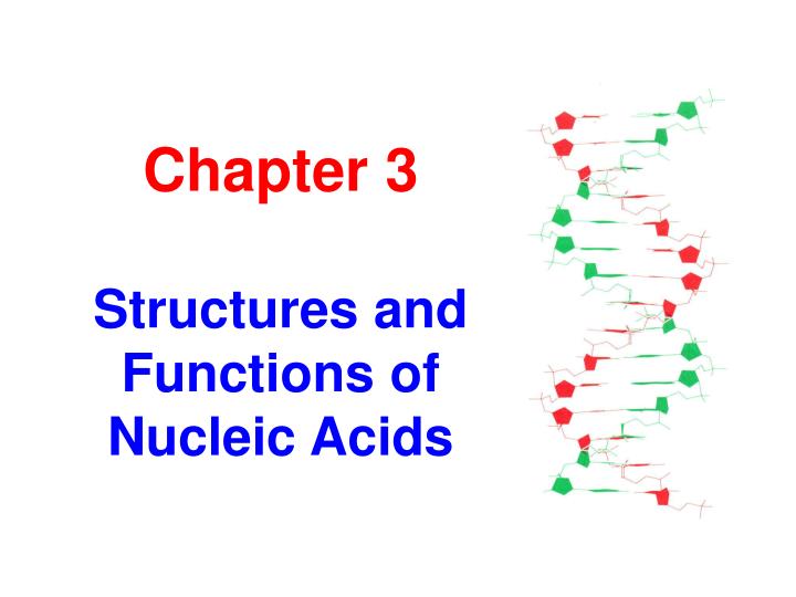 PPT - Chapter 3 Structures and Functions of Nucleic Acids PowerPoint ... PPT - Chapter 3 Structures and Functions of Nucleic Acids PowerPoint ...