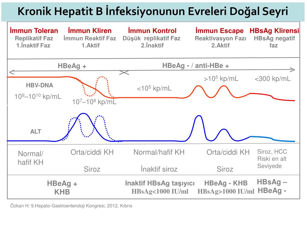 PPT - Prof. Dr. Hasan ÖZKAN Ankara Üniversitesi Tıp Fakültesi ...