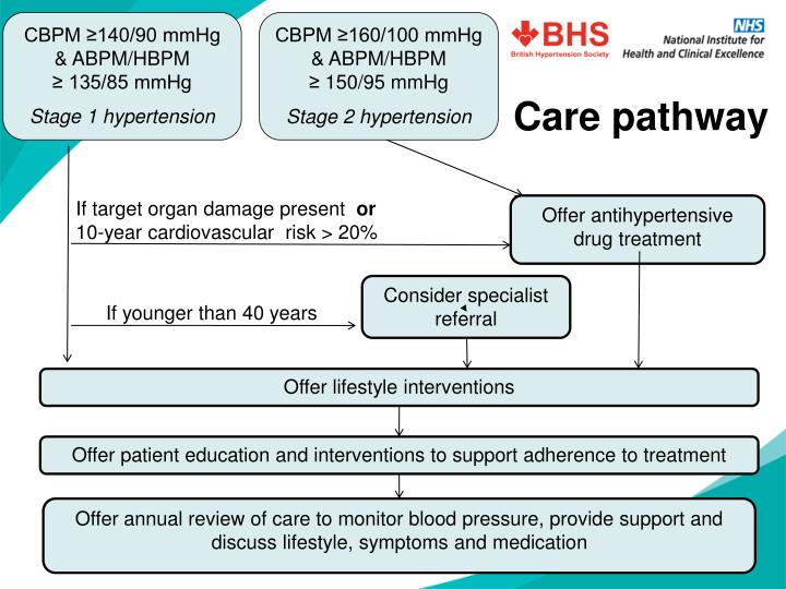 PPT - Hypertension PowerPoint Presentation - ID:3561839