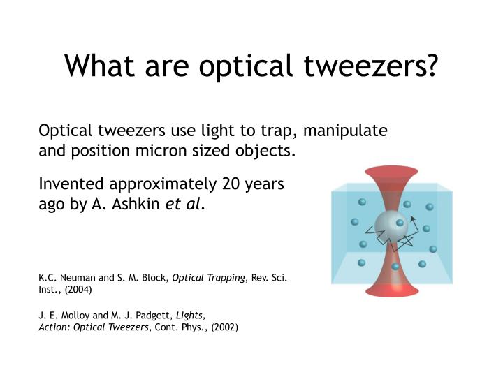 PPT - Optical Tweezers PowerPoint Presentation - ID:3561955