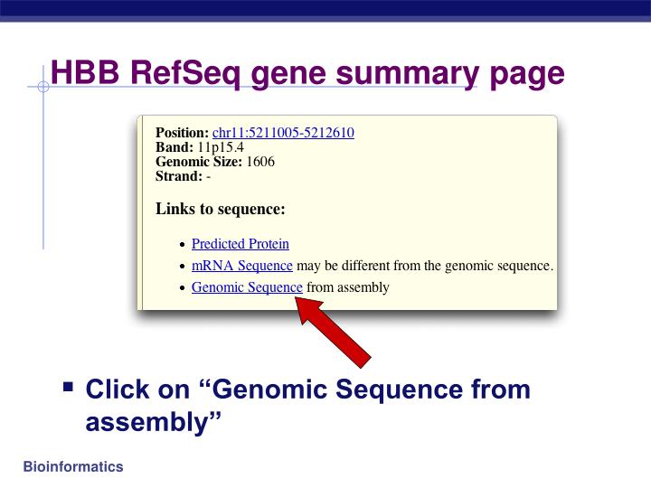 PPT - Teaching Biology Through Bioinformatics PowerPoint Presentation ...