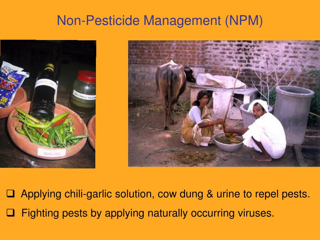 PPT - Escaping the Pesticide Trap: Non-Pesticide Management in India ...