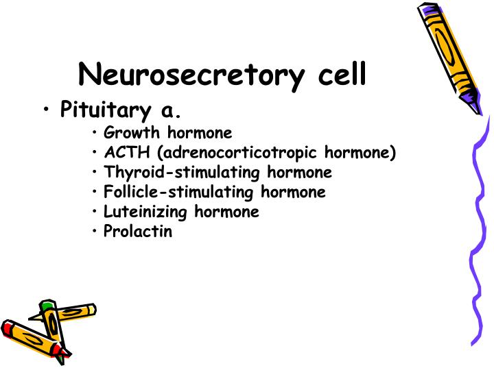 PPT - Cell Biology 16 - Intercellular signaling PowerPoint Presentation ...