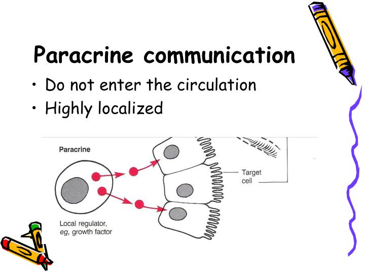 PPT - Cell Biology 16 - Intercellular signaling PowerPoint Presentation ...