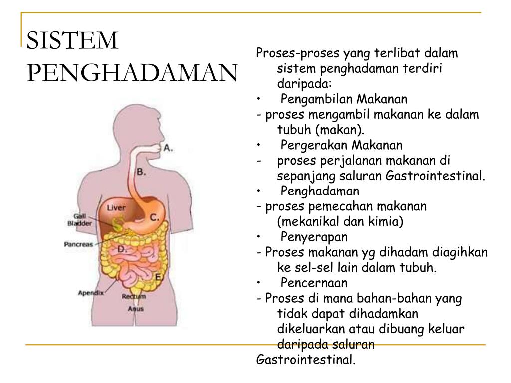 PPT - TOPIK 3: Asas Sains Dalam Pendidikan Kesihatan PowerPoint ...