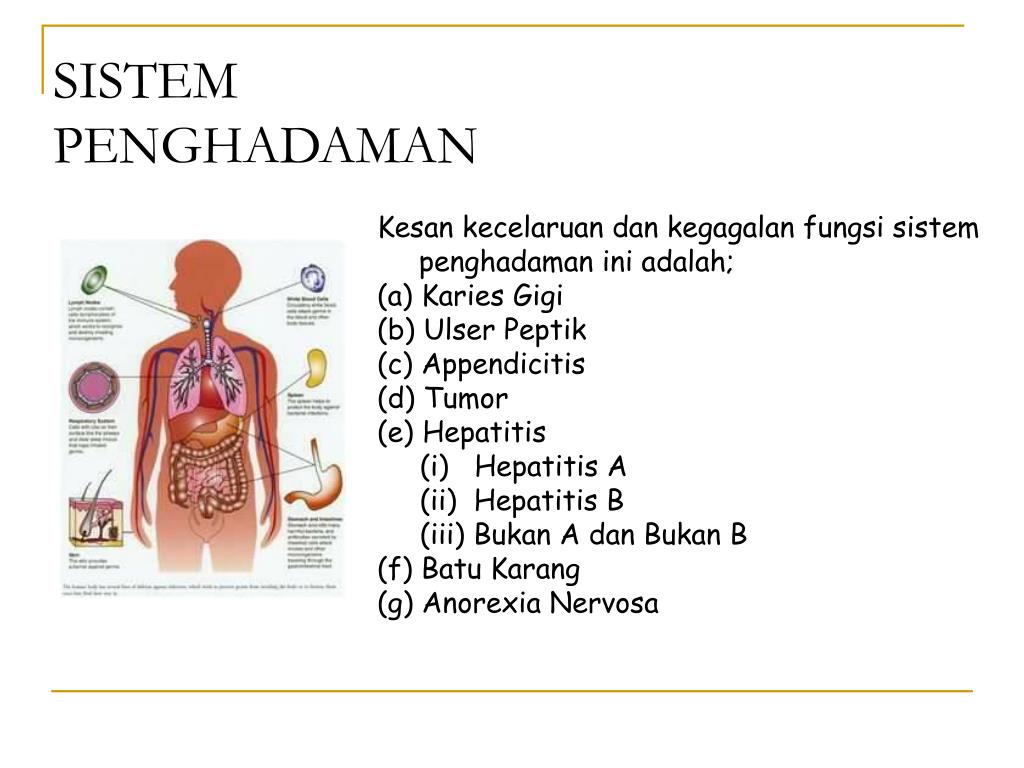 PPT - TOPIK 3: Asas Sains Dalam Pendidikan Kesihatan PowerPoint ...