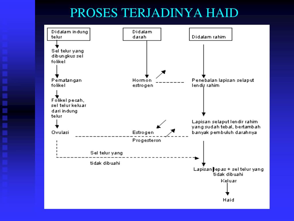 PPT - KESEHATAN REPRODUKSI Dan PERSIAPAN CALON ORANG TUA PowerPoint ...