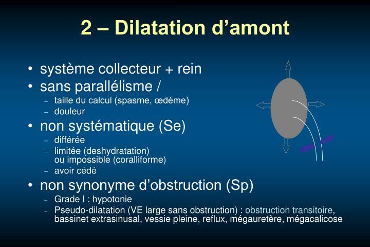 PPT - Sémiologie radiologique Appareil urinaire /génital masculin ...