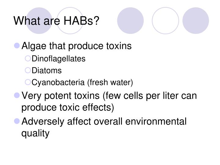 PPT - Harmful algal blooms PowerPoint Presentation - ID:3564578