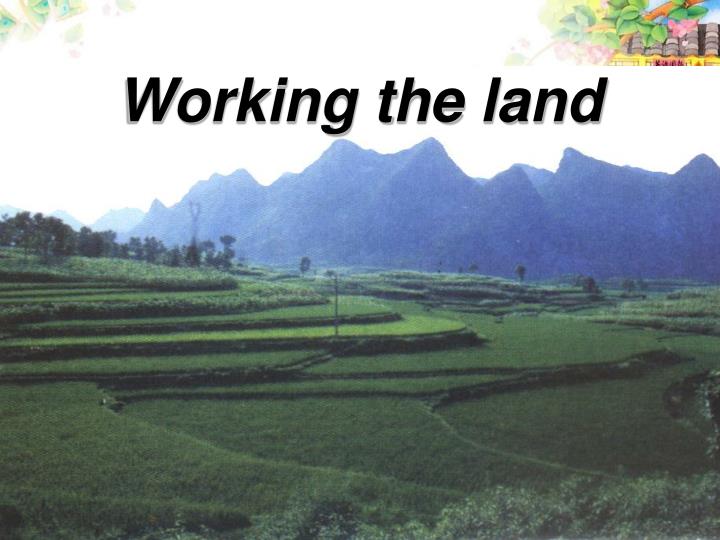 PPT - Working the land PowerPoint Presentation, free download - ID:3564730