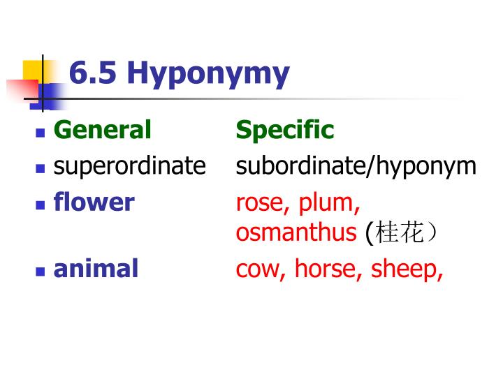 PPT - 6.5 Hyponymy PowerPoint Presentation - ID:3565150
