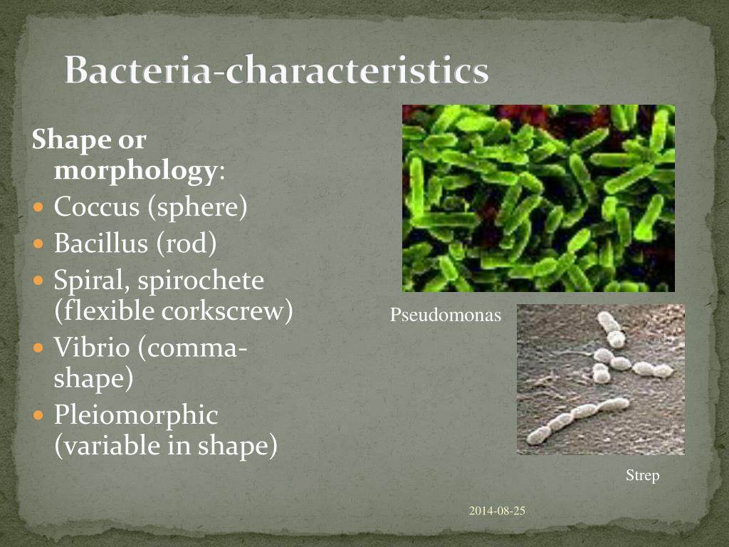 PPT - Microbiology/Infectious Diseases EO 003.02 PowerPoint ...