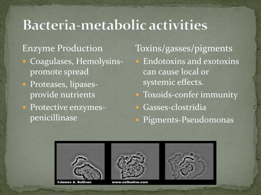 PPT - Microbiology/Infectious Diseases EO 003.02 PowerPoint ...