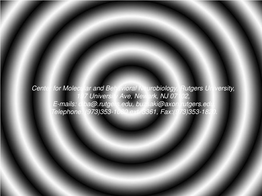 PPT - Forward and reverse hippocampal place-cell sequences during ...