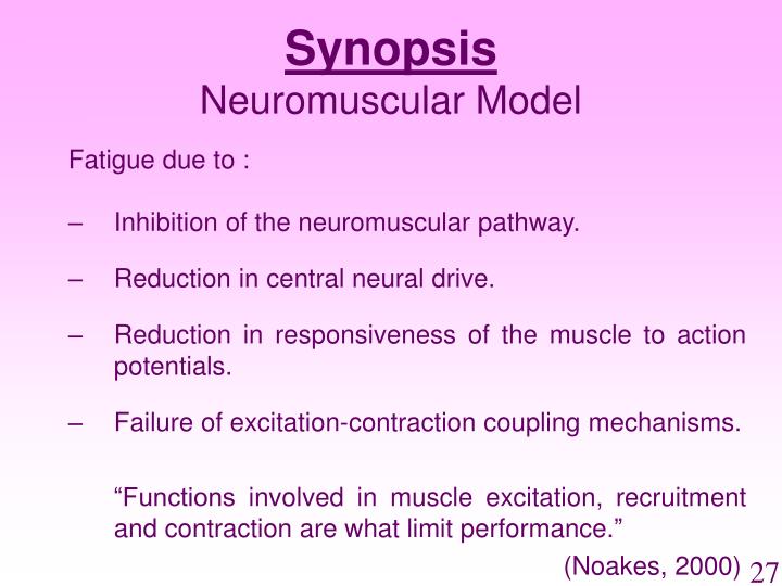 PPT - BS277 Biology of Muscle Fatigue PowerPoint Presentation - ID:3565982
