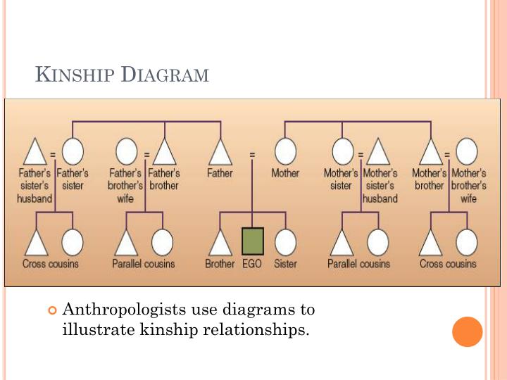 PPT - Kinship and Family PowerPoint Presentation - ID:3567449